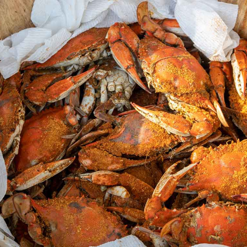 Chesapeake Crab Connection - Male Blue Crabs - Order Crabs Online ...